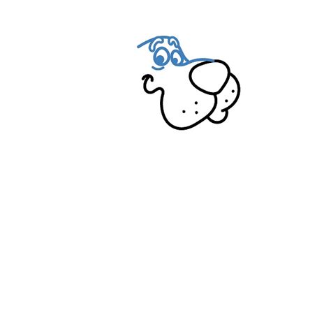 Step 4