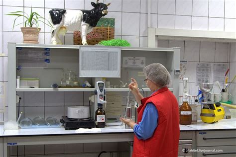 Как устроен современный молочный комбинат и почему молоко хранится так долго ЖЖитель