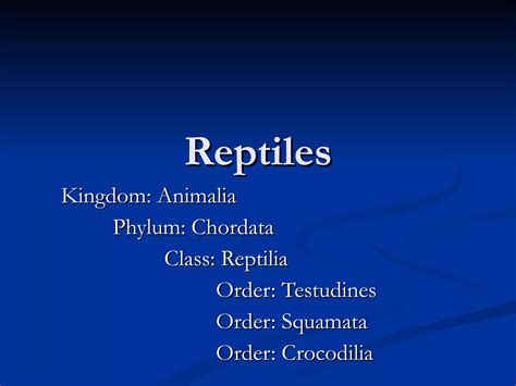 20 Class Reptilia Notes Ppt