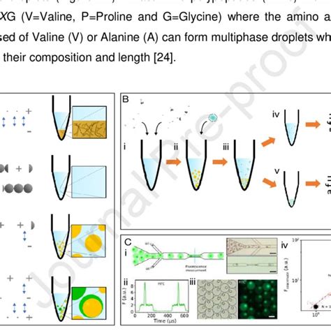 Pdf Can Coacervation Unify Disparate Hypotheses In The Origin Of