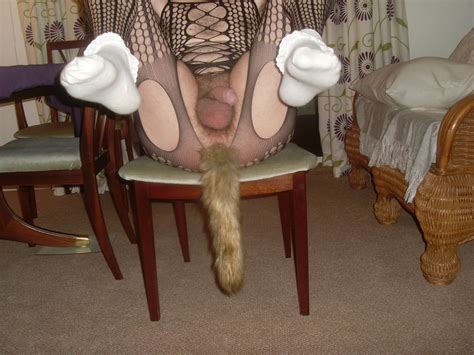 Foxtail Buttplug Porn Pictures XXX Photos Sex Images PICTOA