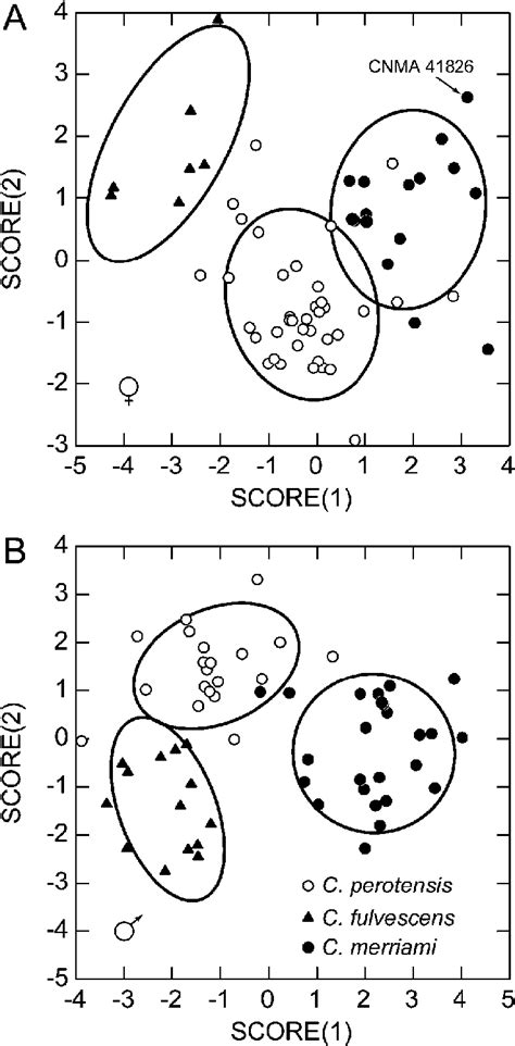 —discriminant Function Plot Of Standardized Cranial Measurements For A Download Scientific