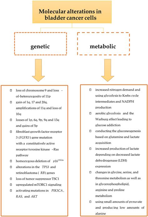 Molecular Alterations In Bladder Cancer Cells Download Scientific Diagram