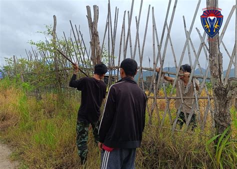 Cobra Column တပ်ခွဲ ၁ Added A Cobra Column တပ်ခွဲ ၁