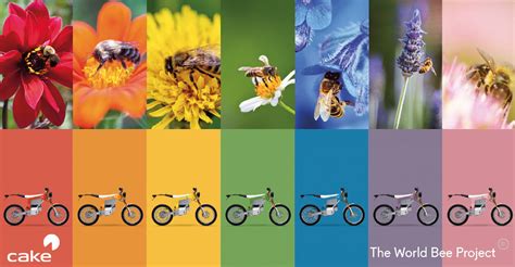 Helping Support The World Bee Project Cake Launches Their New “flower Power Limited Edition