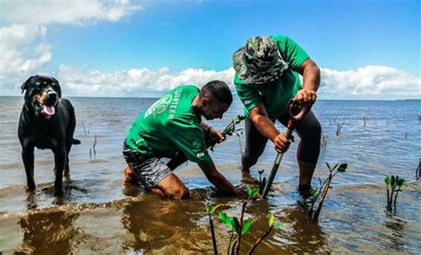 From The Field Young Fijians Work With Older Generation For A