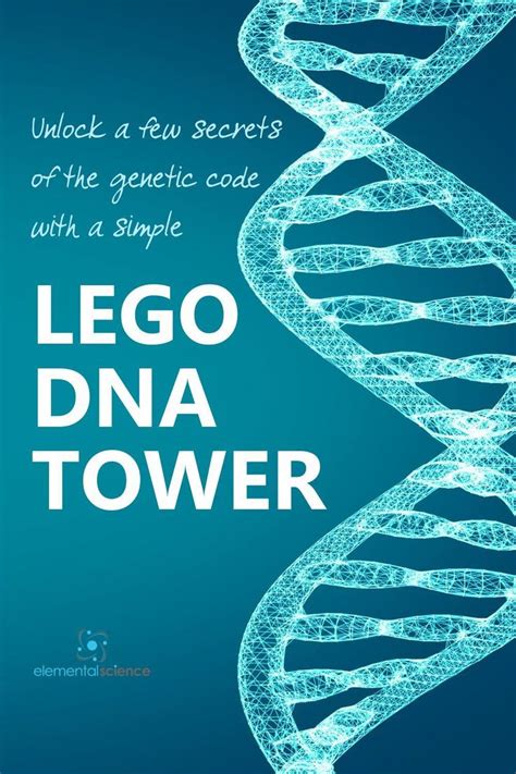 Unlock A Few Secrets Of The Genetic Code With A Simple Lego Dna Tower Unlock A Few Secrets Of The Genetic Code With A Simple Lego Dna Tower