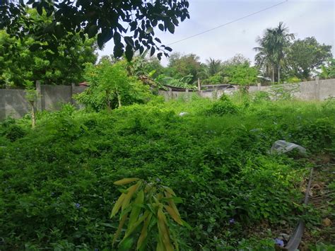 1741sqm Beachfront In Tayud Liloan Cebu Property Buzz