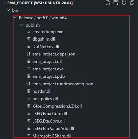 Step By Step Guide To Create Ema C Api Project With Vs Code Devportal