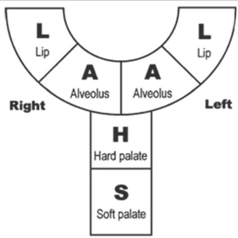 Ad Veau Classification System Of Cleft Lip And Palate Download Scientific Diagram