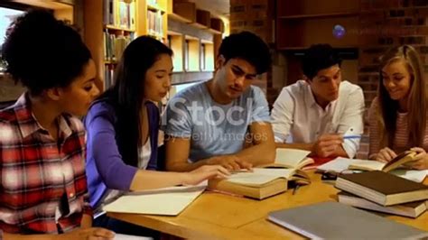 Gibbs Reflective Cycle Assignment Help Step By Step Guide For