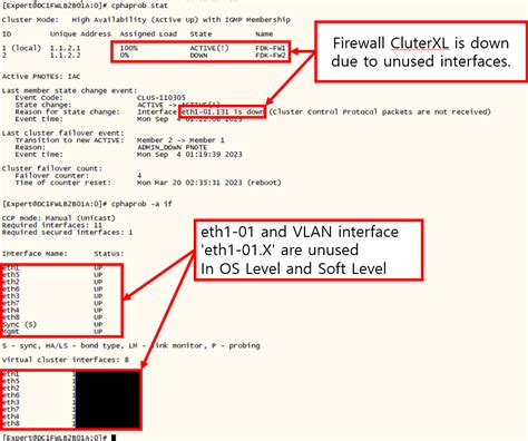 In Clusterxl Unused Interfaces Are Marked As Moni Check Point Checkmates