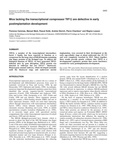 PDF Mice lacking the transcriptional corepressor TIF1β are defective
