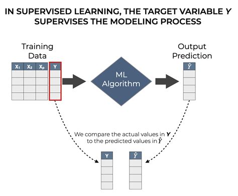 Supervised Vs Unsupervised Learning Explained Sharp Sight