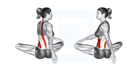 Worlds Greatest Stretch Guide Benefits And Form