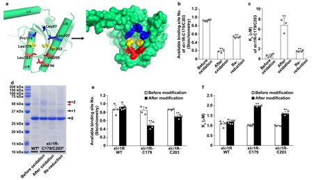 Nat Commun︱周小明孙子宜团队根据sigma 1受体开放式构象揭示其配体进入途径的分子机制 知乎