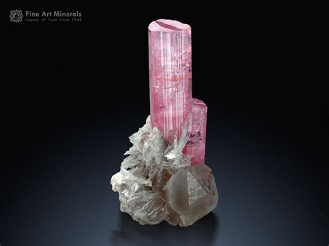 Pink Tourmaline T Pnk 04 Pachigram Mine Afghanistan Minerals