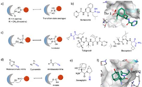 Figure 3 From Targeting Biomolecules With Reversible Covalent Chemistry