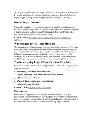 Effective Project Team Structure Template Excel DOCX Business Administration Business