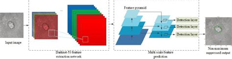 Processing Flow Of Yolov3 Algorithm Download Scientific Diagram