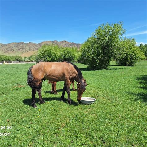 ЗУСЛАНГИЙН ГАЗАР БАЙШИН ХУАС АВНА ЗАРНА БАЙШИН БАРИУЛНА Facebook