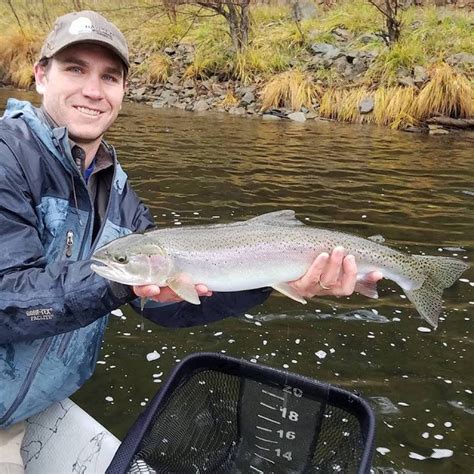 Trinity River Steelhead Fly Fishing Guide Float Trips Near Redding