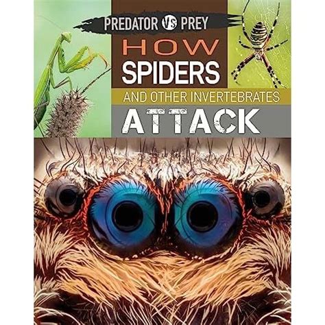 Predator Vs Prey How Spiders And Other Invertebrates A Paperback New