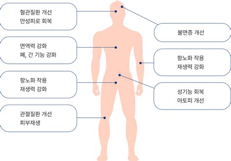 줄기세포