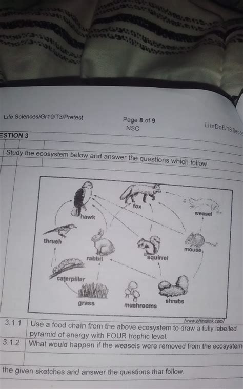 Study The Ecosystem Below And Answer The Questions Which Follow Image D