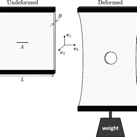 Schematic Of A Typical Delayed Fracture Test For A Viscoelastic Download Scientific Diagram