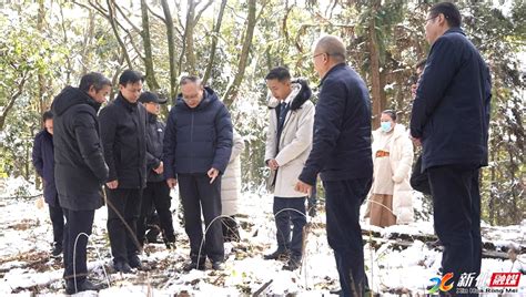 国家林草局生态中心来新开展退耕还林提质增效典型范例调查工作时政要闻新化站