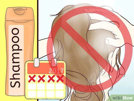 3 Ways To Prevent Dry Scalp WikiHow Health