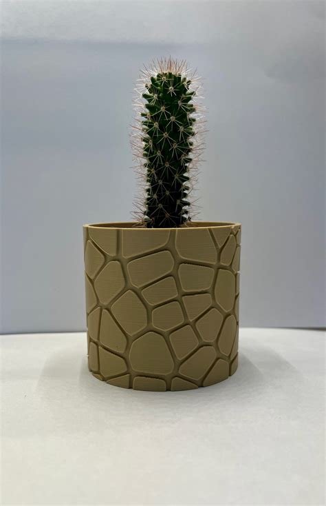 Voronoi Plant Pot By Eifel3druck Download Free Stl Model