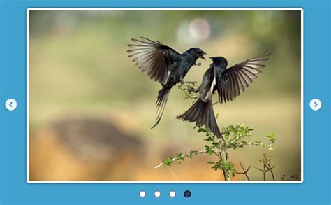 Los Mejores Plugins Responsive Gratuitos Para Sliders En Wordpress