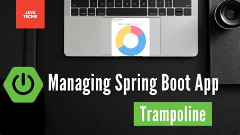 Microservice Managing Spring Boot Application Locally With Trampoline Javatechie Youtube