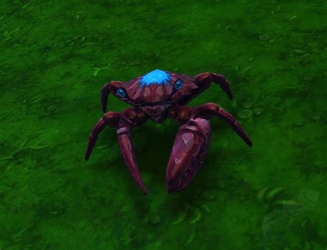 Glittering Diamondshell Npc World Of Warcraft