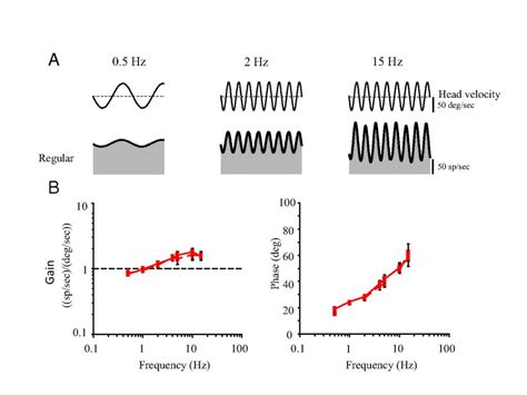 Ppt Sensorimotor Transformations Powerpoint Presentation Free