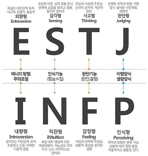 Blahkr Mbti 성격 유형 검사 성형하는 블로거