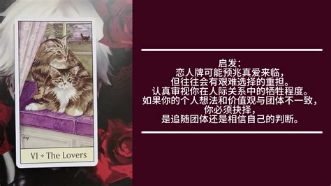 猫眼塔罗22张大阿尔卡纳简介分享 哔哩哔哩