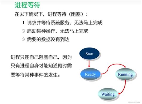 7 5进程的生命周期原理为什么进程的生命周期不连续 Csdn博客