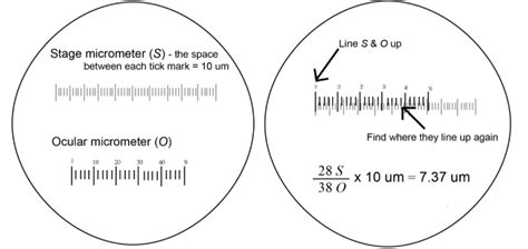 Microscopes Idaho State University