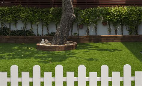 Types Of Sod For Your Lawn The Home Depot