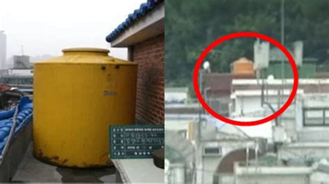 L O L A On Twitter ผ่านไปร่วมเดือนทุกคนก็เริ่มได้กลิ่นเหม็นเน่าในบ้าน แถมยังมีหนอนจากไหนไม่รู้