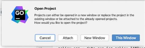 Go Goland Puting Multiple Projects Into One Workspace Stack Overflow