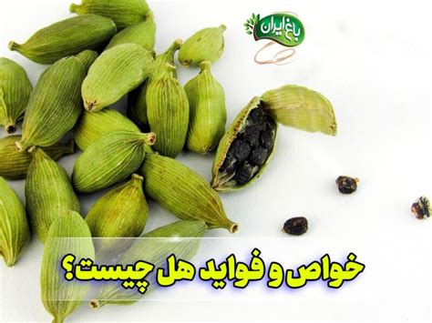 فواید و خواص هل چیست؟ 18 خاصیت هل برای سلامتی باغ ایران