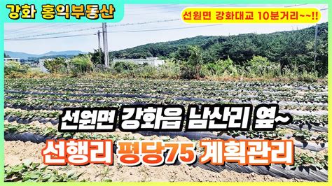 매가인하 매매가12500만원집짓기 좋은 위치의 토지입니다~ 강화도토지 강화전원주택부지 강화도토지매물 Youtube