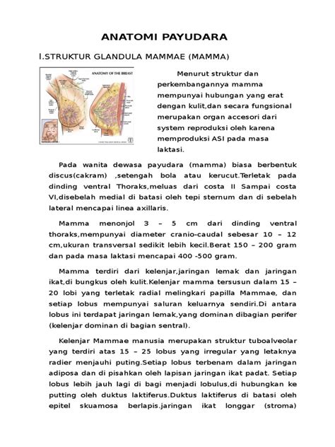 Anatomi Payudara Pdf