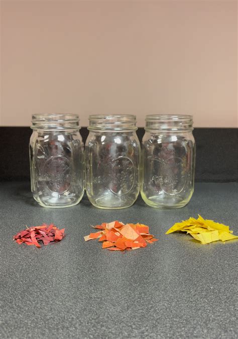 Leaf Chromatography A Fun November Leaf Experiment The Young Inventors Club