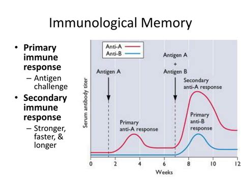 PPT Immune System PowerPoint Presentation Free Download ID