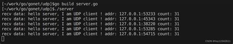 Go语言net模块tcp和udp编程实践go Net Csdn博客